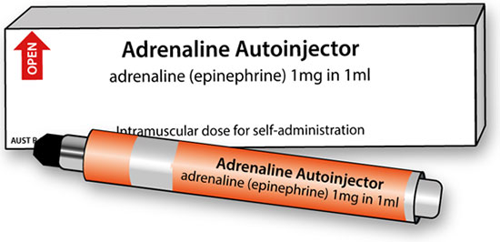 Changes to adrenaline and noradrenaline labels | Therapeutic Goods ...